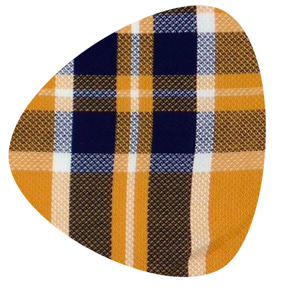 Grupo Nyltex